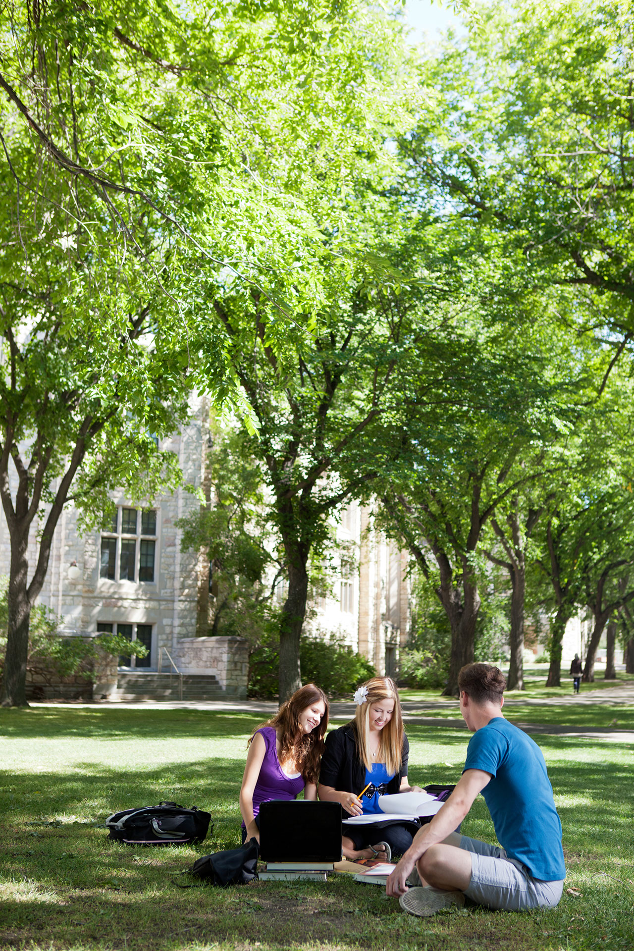 Services | The College Curators - Uniquely Personalized & Strategic ...