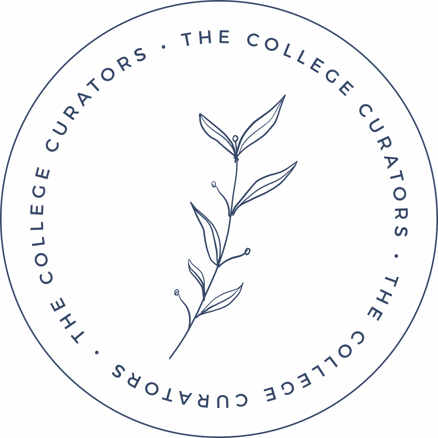 Test Optional Colleges for Fall 2024 | The College Curators
